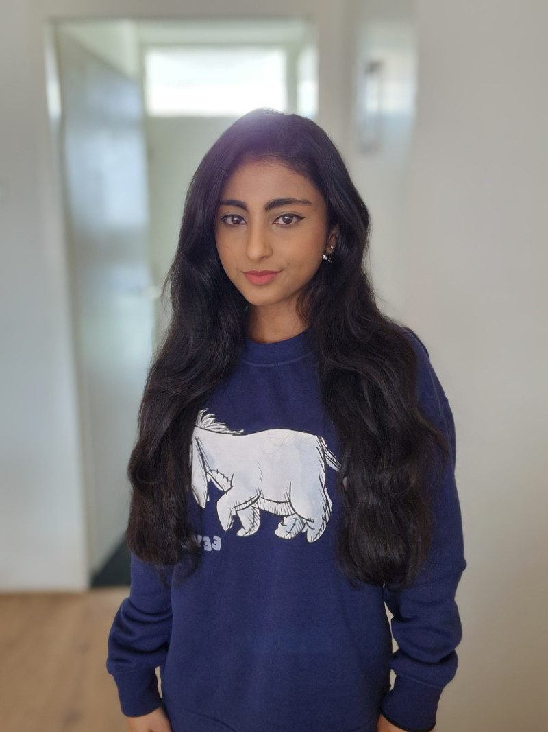 Characteristic women | Varisha | Bullet Models
